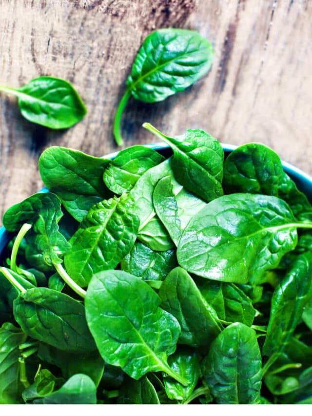 How to Tell if Spinach is Bad (& How to Prevent it!) - caramel and cashews